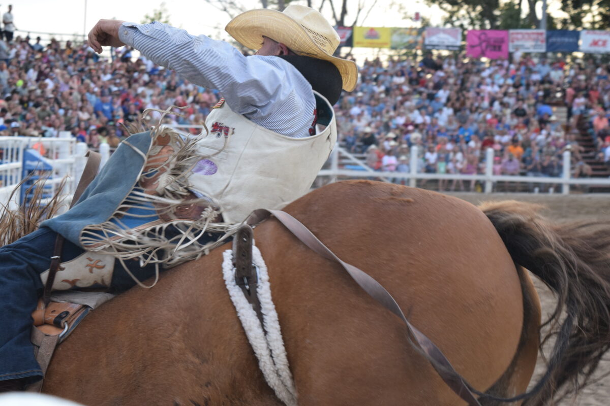 Pleasant Grove celebrates 100 years of Strawberry Days Rodeo | News ...